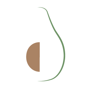 Smashed Avo | Web Development